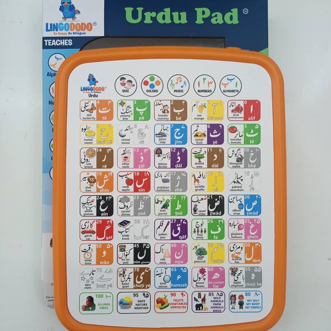 Urdu Pad New Launch May 2024 – LingoDodo